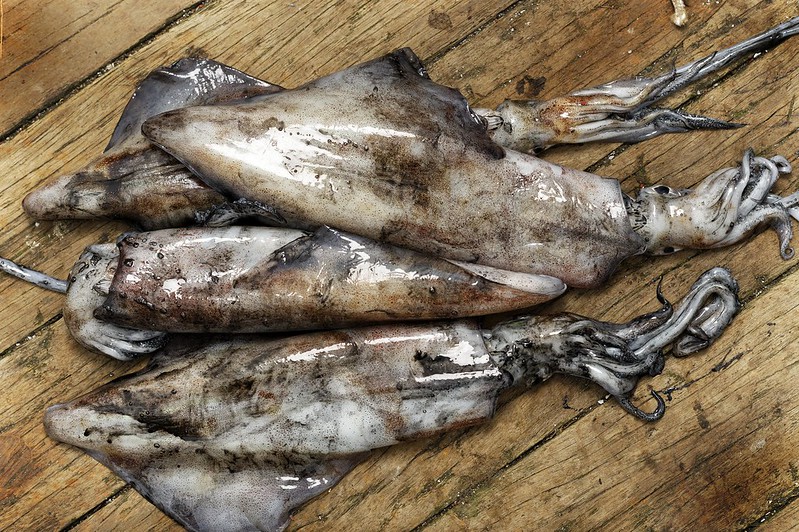 Pijlinktvis schoonmaken en bereiden - Uit de keuken van 8