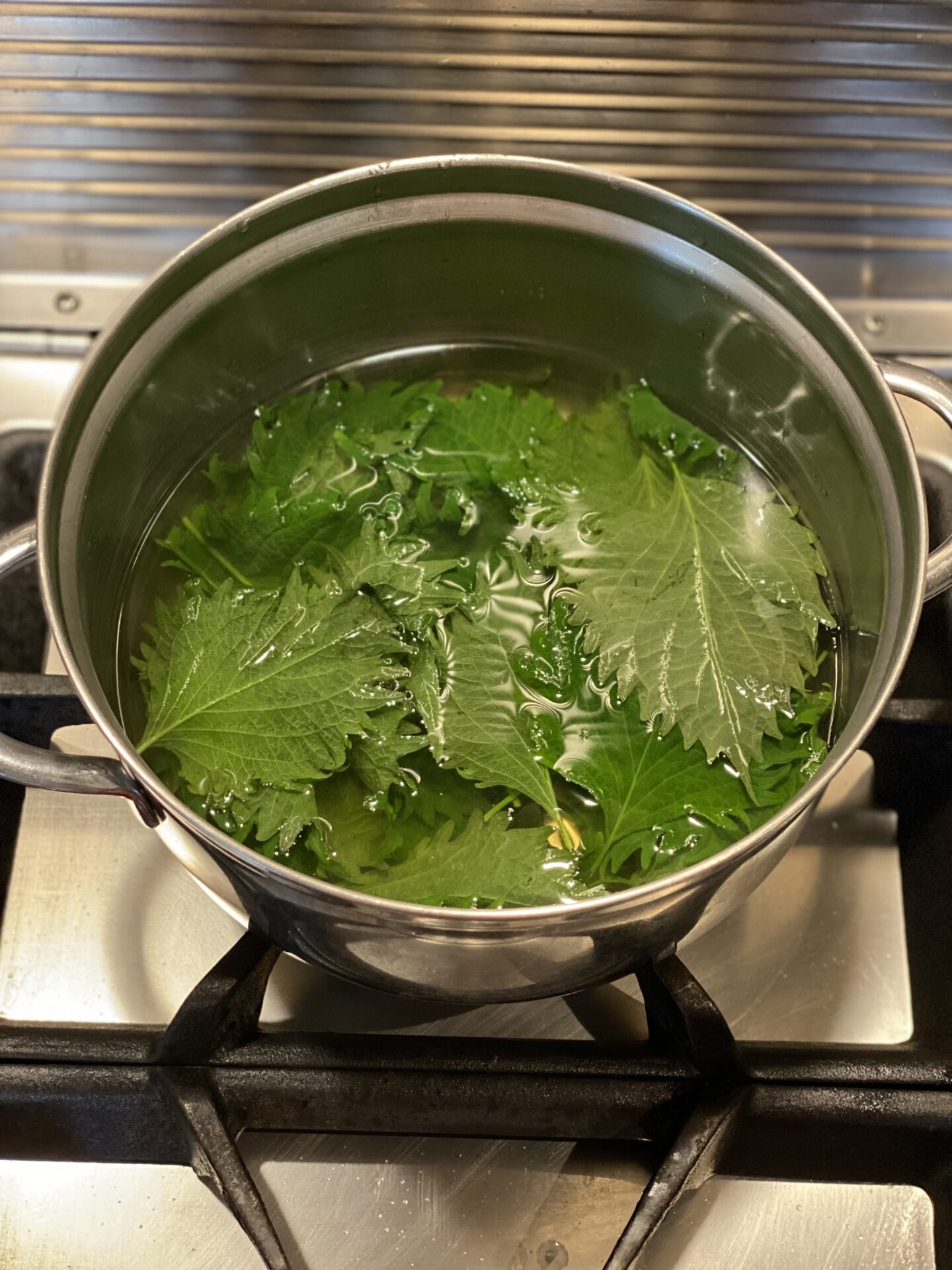 Shiso sorbet - Uit de keuken van 8